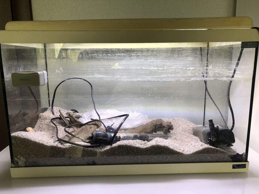 Аквариум 60*30*35 с подсветкой и оборудованием