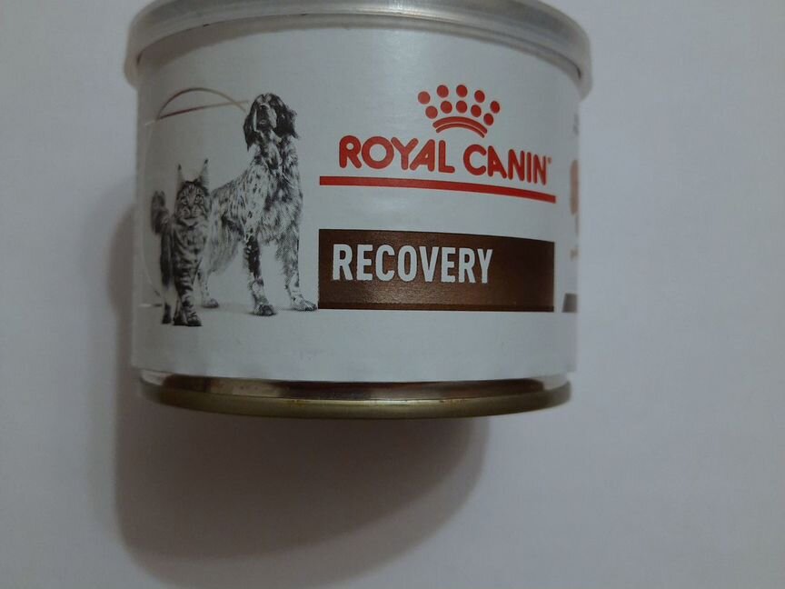 Royal Canin Recovery для кошек и собак