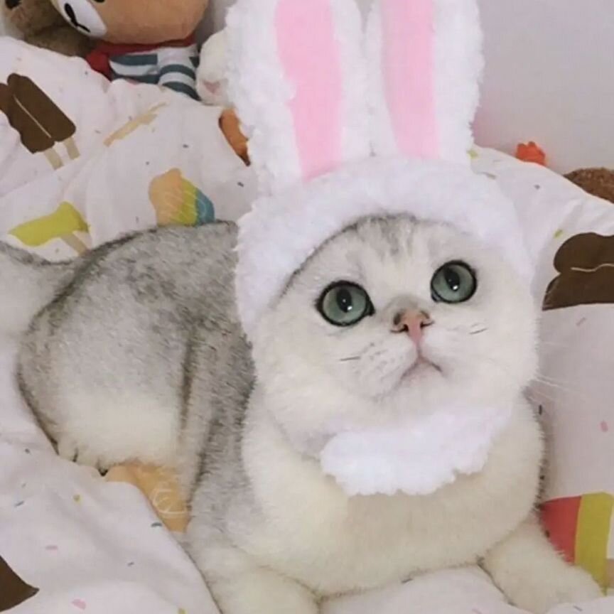 Ушки пушистые для животных