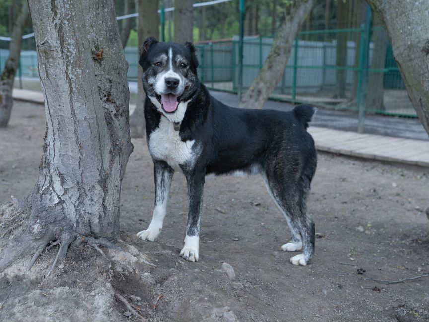 Ищу того, кто любит обнимать