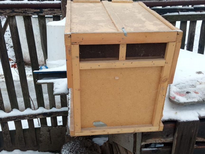 Пакет для пчел