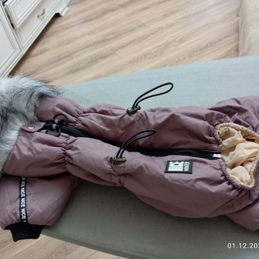 Одежда для собак
