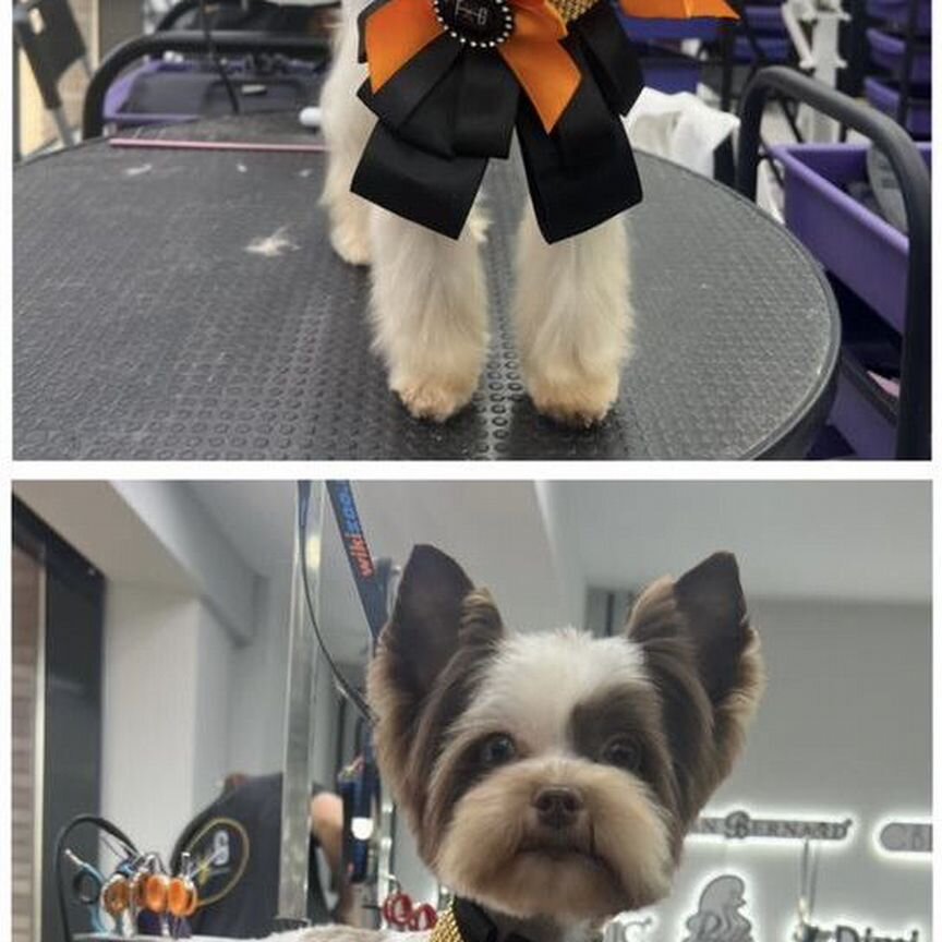 Мини биро йорк