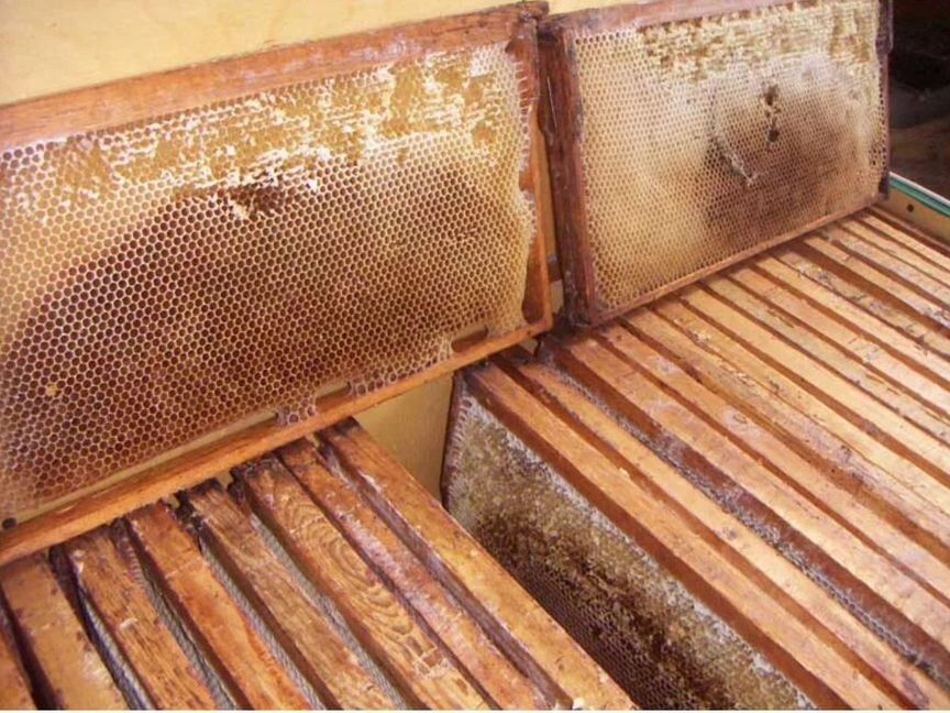 Рамки для пчел. Суш