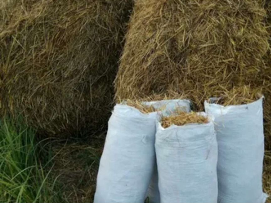 Солома в мешках