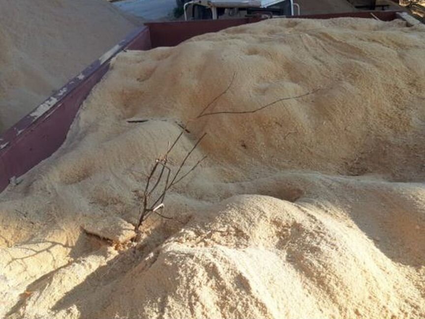 Опилки березовые