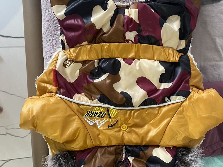 Одежда для маленьких пород