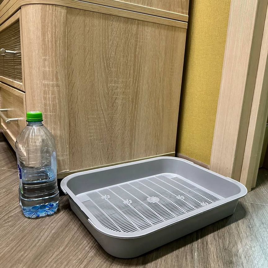 Лоток для кошек новый