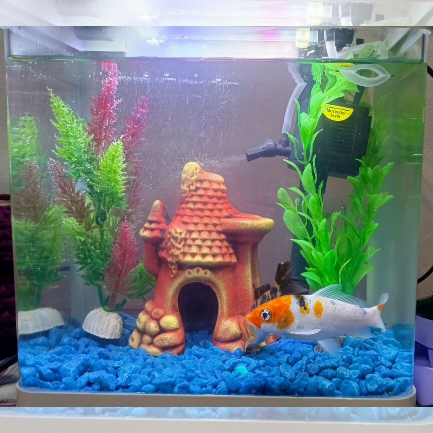 Продам аквариум с декорациями