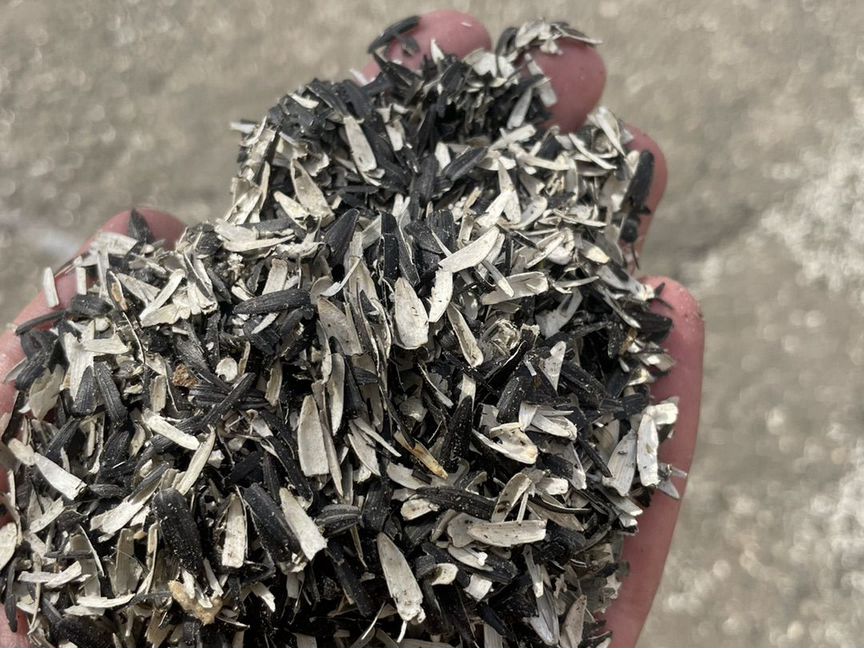 Шелуха подсолнечника