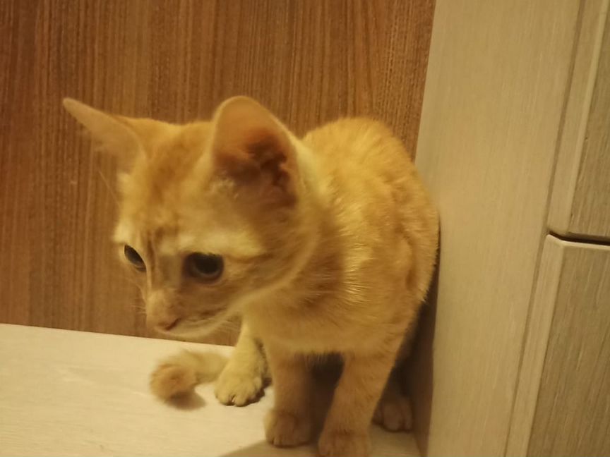 Они не справились