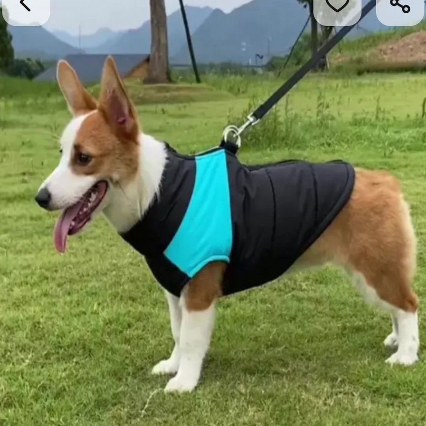 Жилетка для маленьких собак