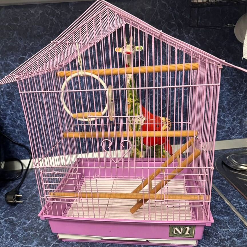 Клетка для волнистого попугая