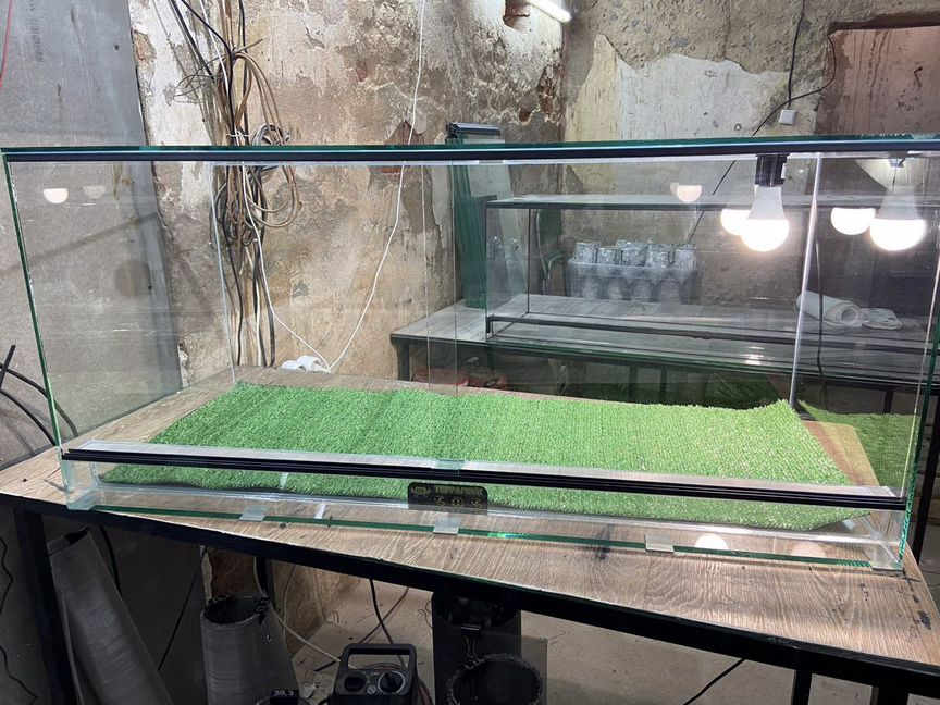 Террариум стеклянный 45.80.45