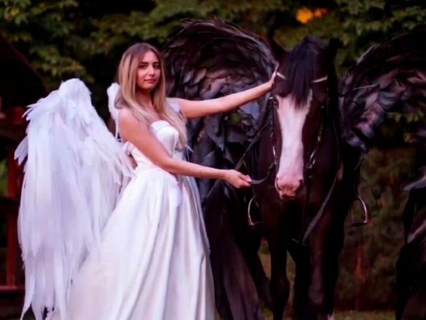 Крылья для фотосессии