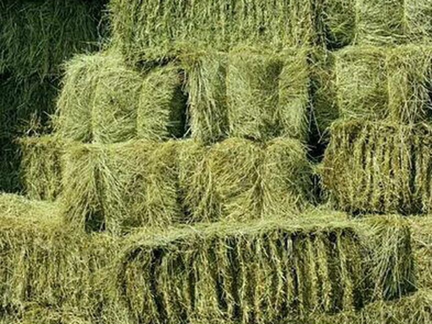 Продаётся сено суданки в тюках, солома ячменая