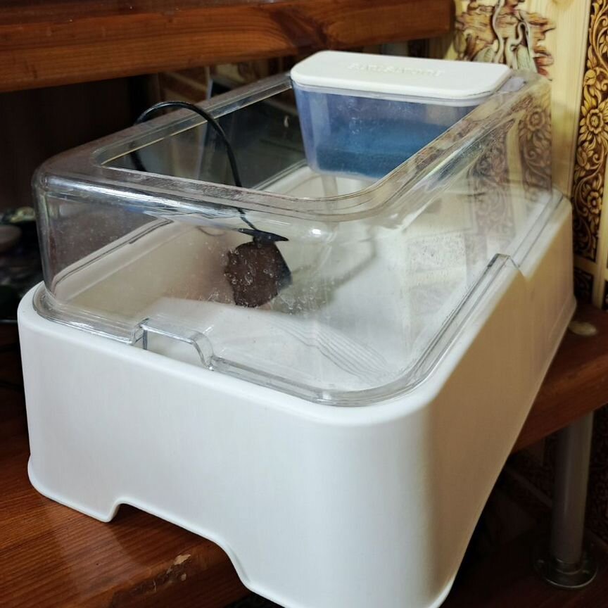 Аквариум для черепах