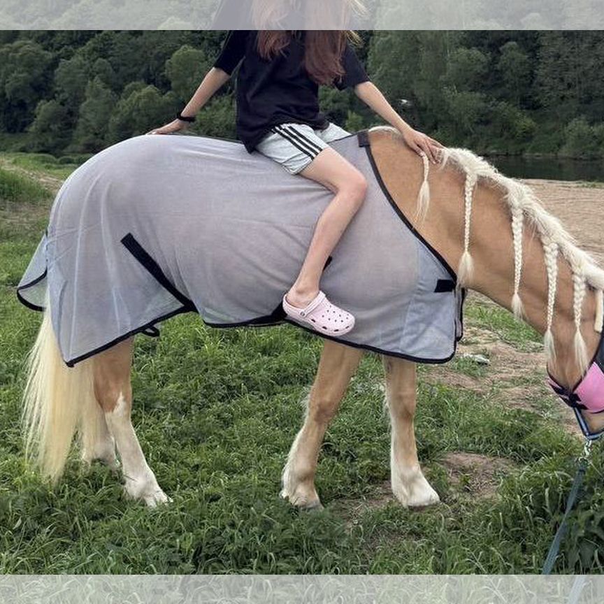 Антимоскитная попона для лошади