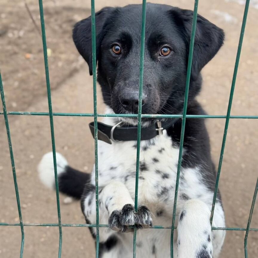 Жизнь Каена проходит за решеткой