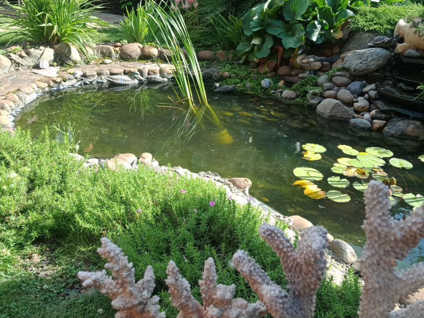 Декорации для аквариума