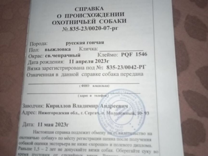 Русская гончая
