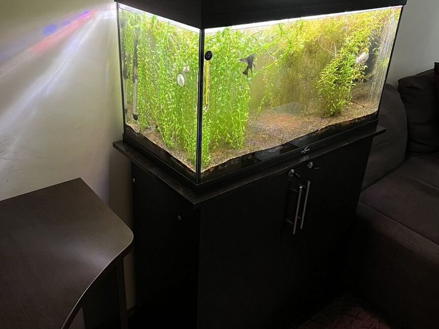 Аквариум 150 литров с тумбой