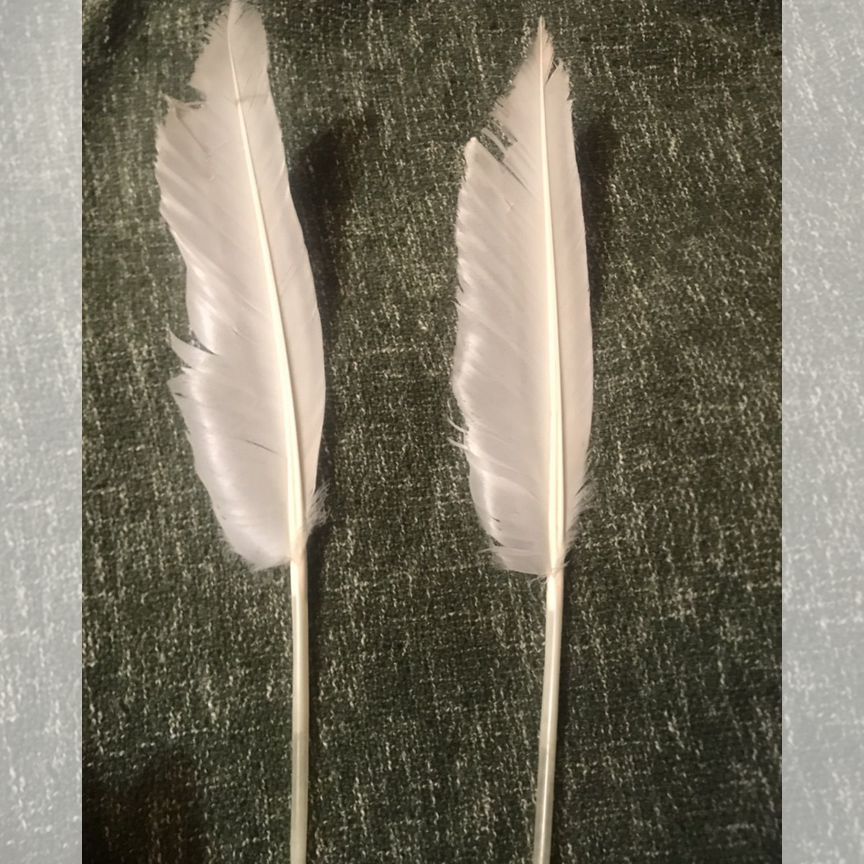 Гусиное перо