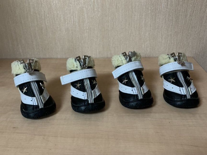 Обувь для собак