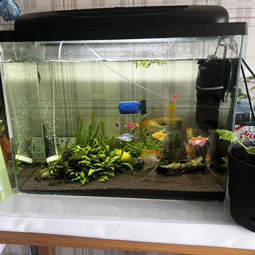 Аквариум 80 литров