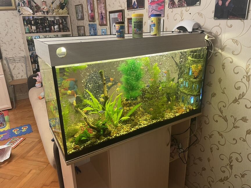 Аквариум 200 литров с тумбой