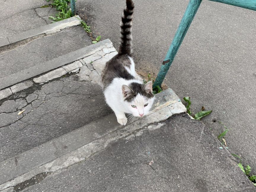 Хочу жить дома