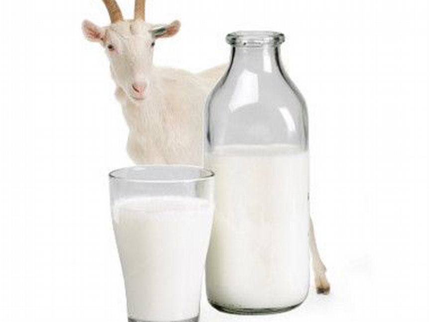 Молоко коз