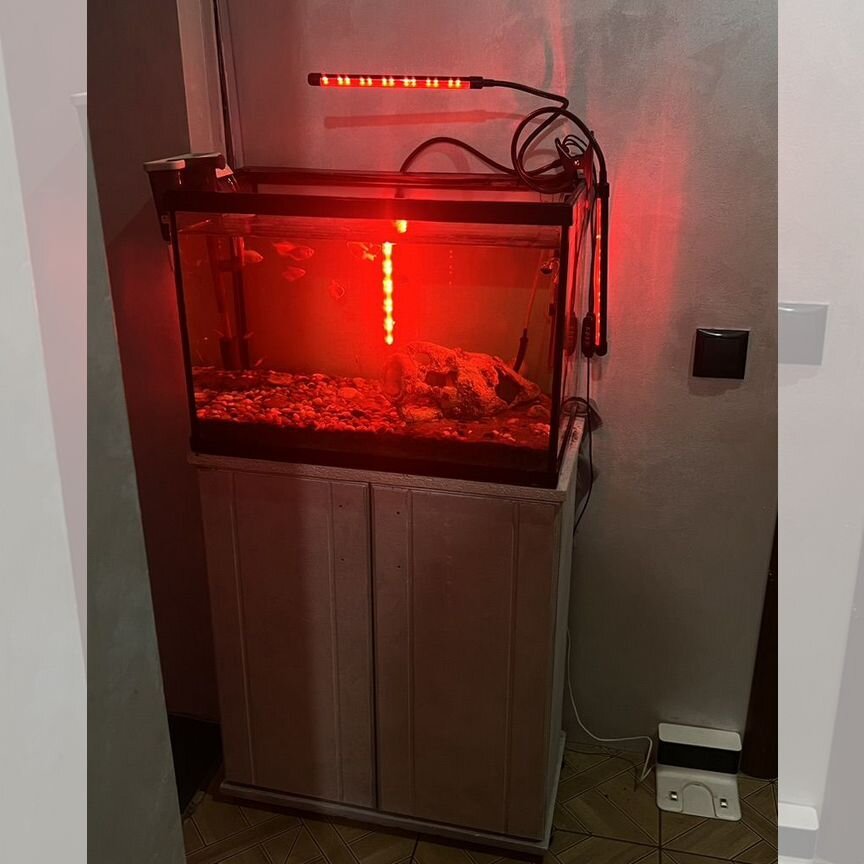 Аквариум на 60 литров