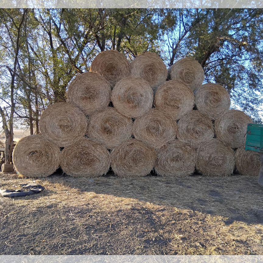 Солома в рулонах