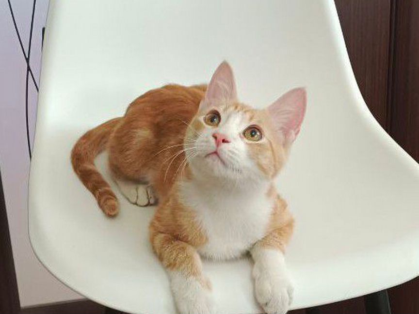 Мальчик ищет семью