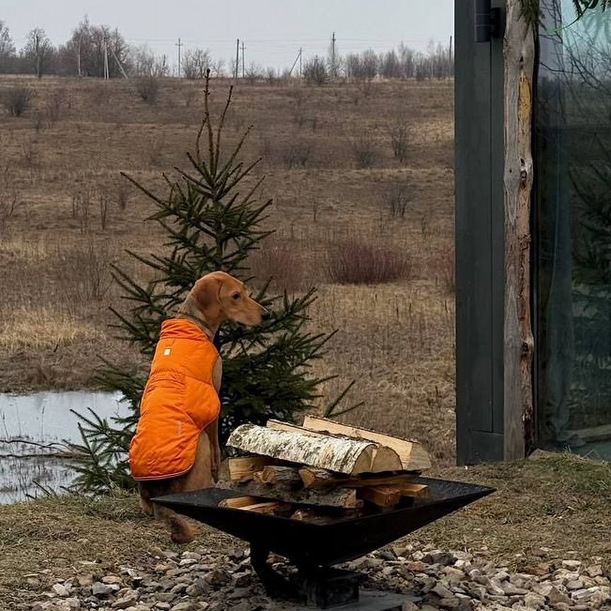Теплая попона ruffwear quinzee (для собаки, S)