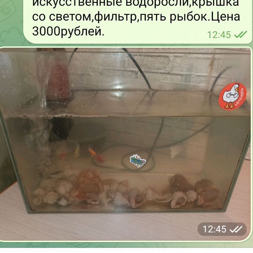Аквариум