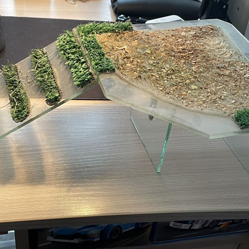 Островок для черепахи