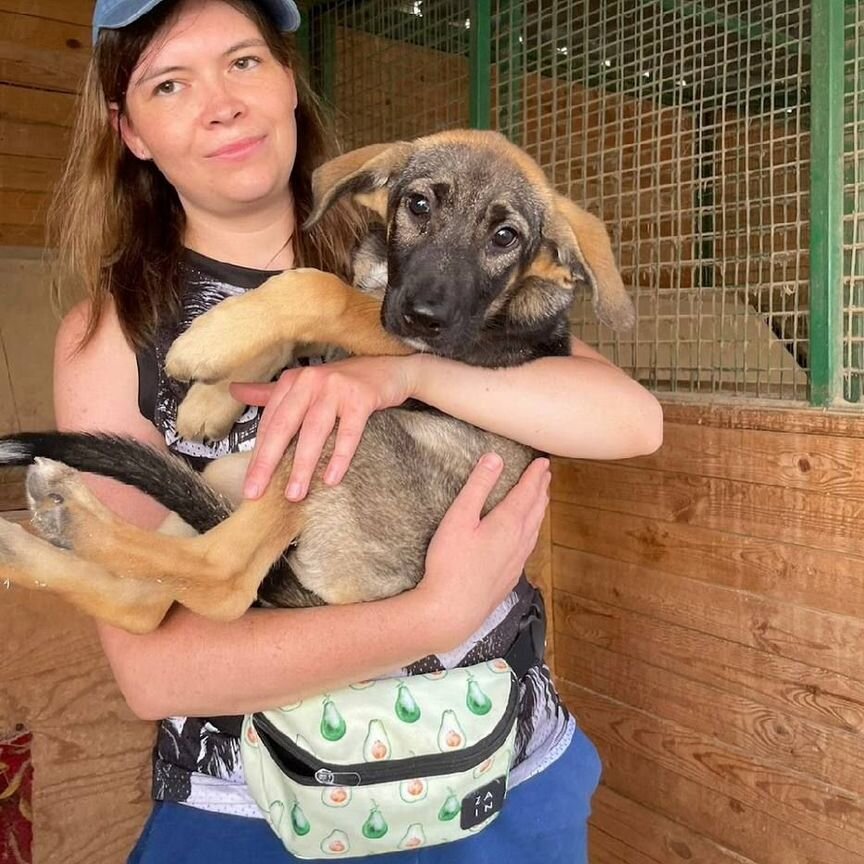 Маленький хвостик ждёт человека