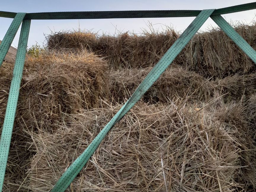 Сено в тюках
