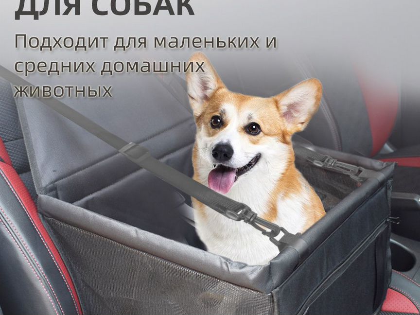 Автокресло для маленьких собачек