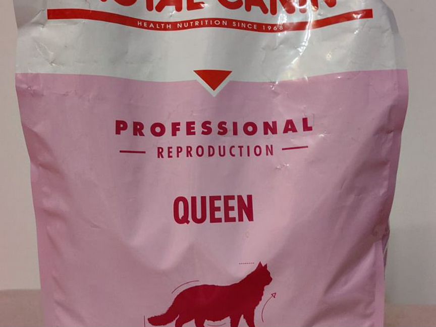 Queen сухой корм для котят и кошек Royal Canin