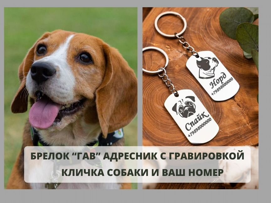 Адресник «Гав» для собак и кошек. Гравировка кличк