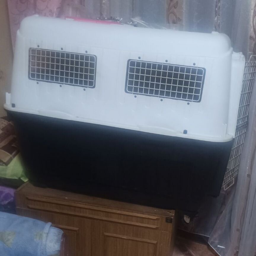 Пкрупных собак Норильск,Кайеркан