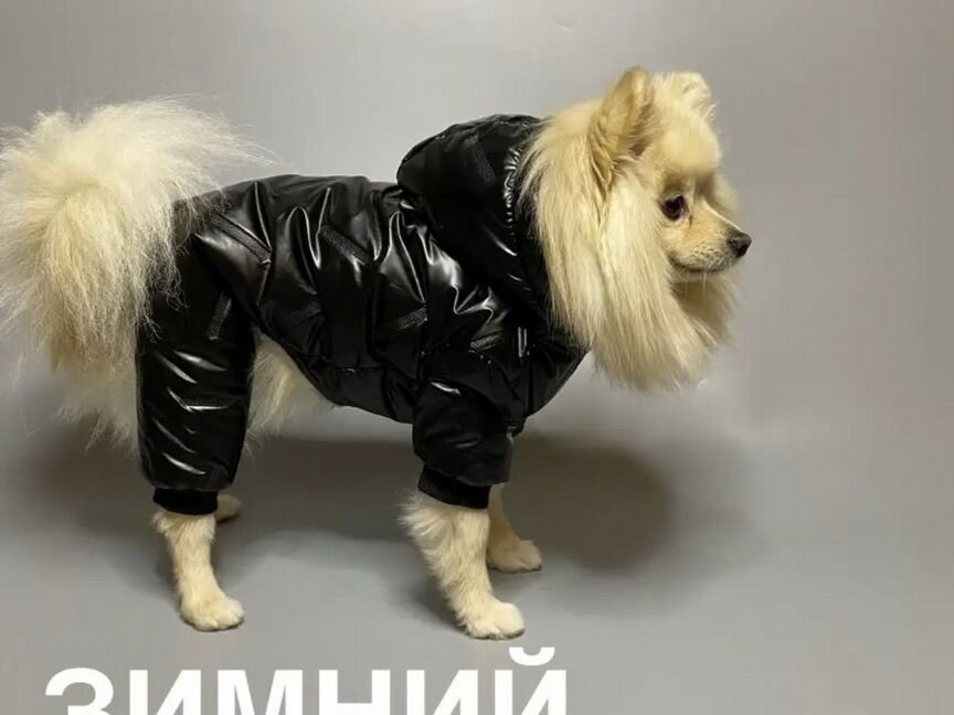 Зимний комплект для собак