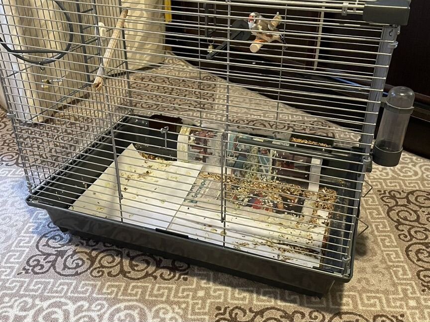 Клетка с аммадином