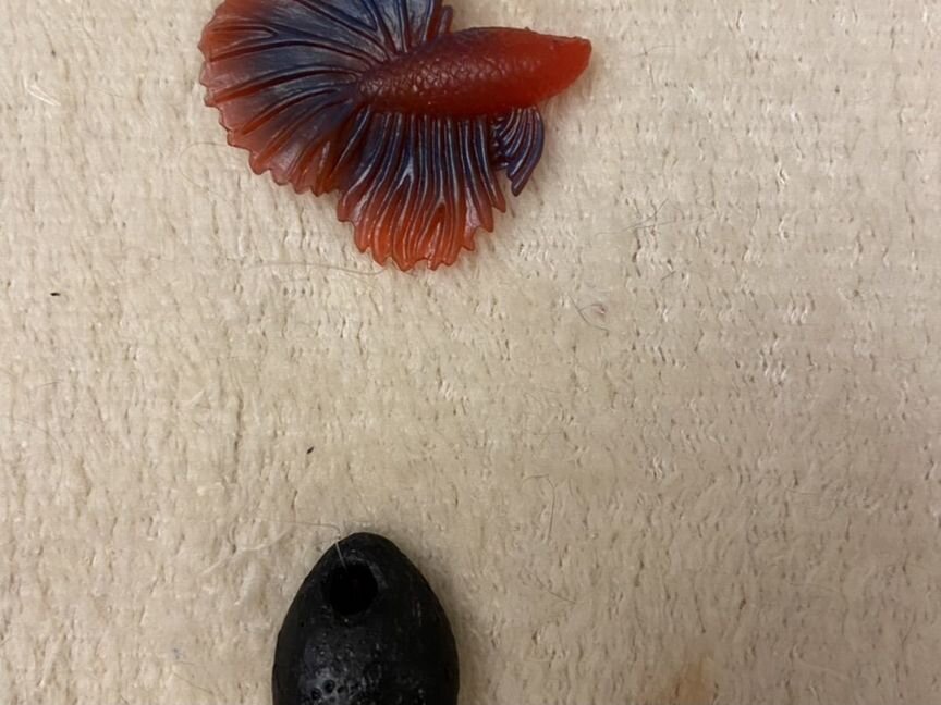 Рыба петушок игрушка