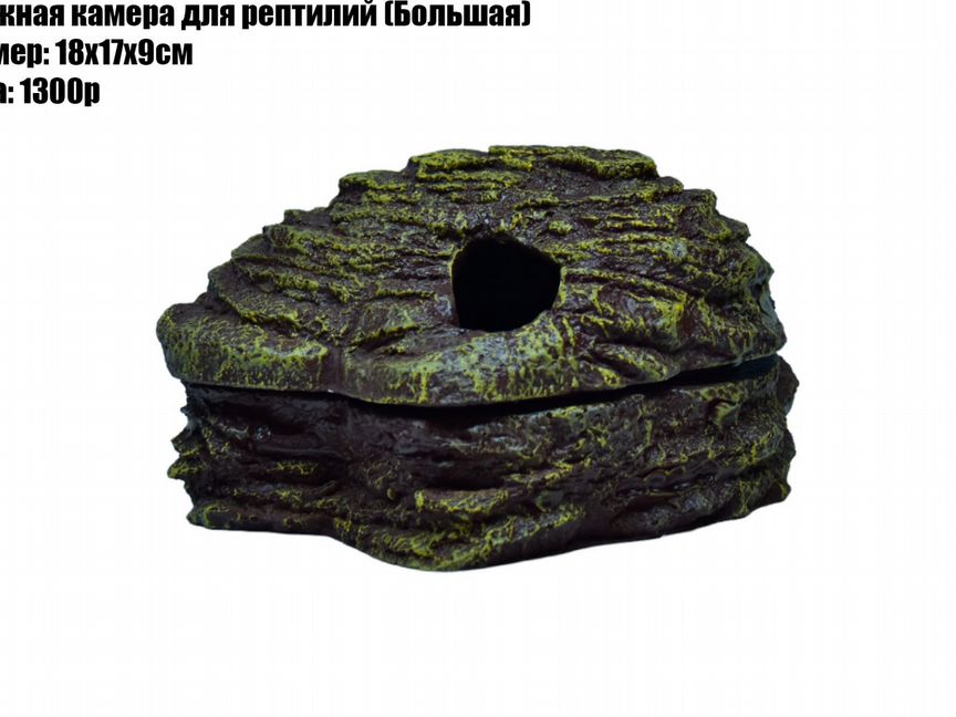 Влажная камера для рептилий (Большая)