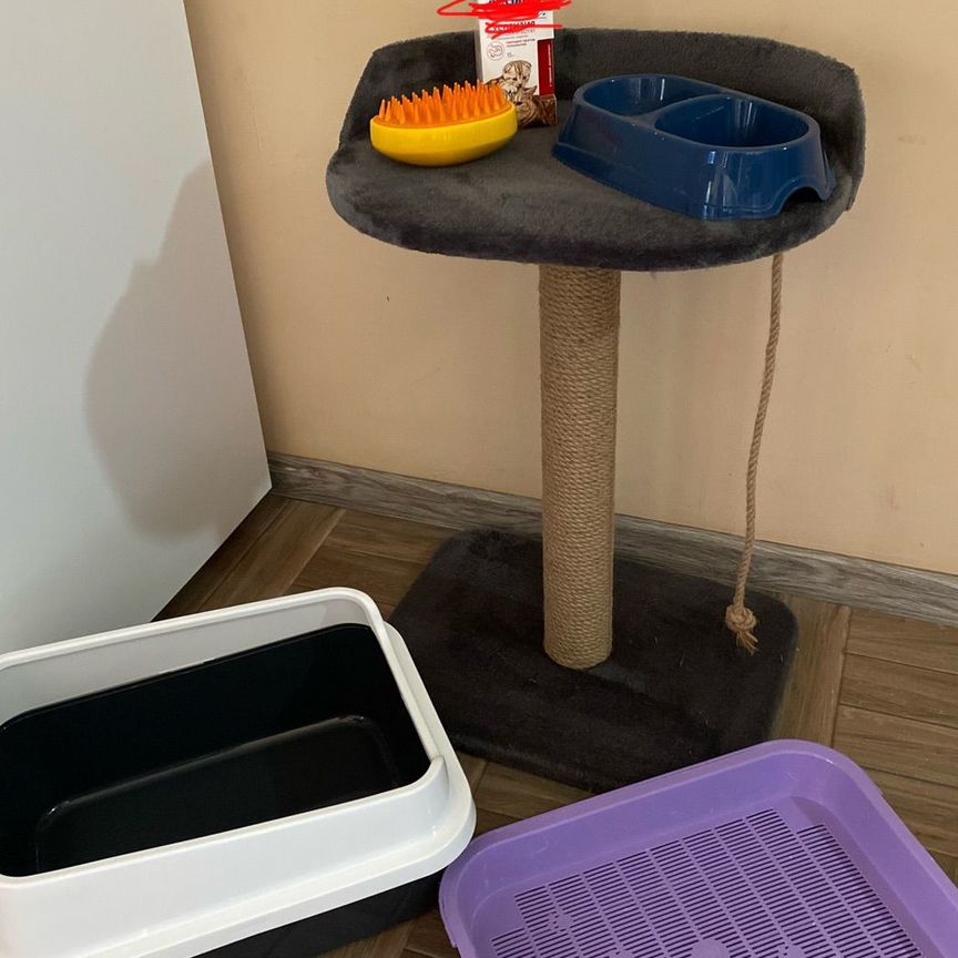 Когтеточка наполнитель и пр товары для котят