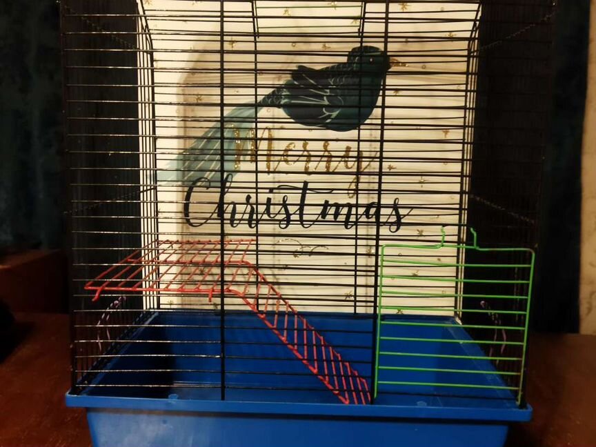 Клетка для хомяка с лесенкой